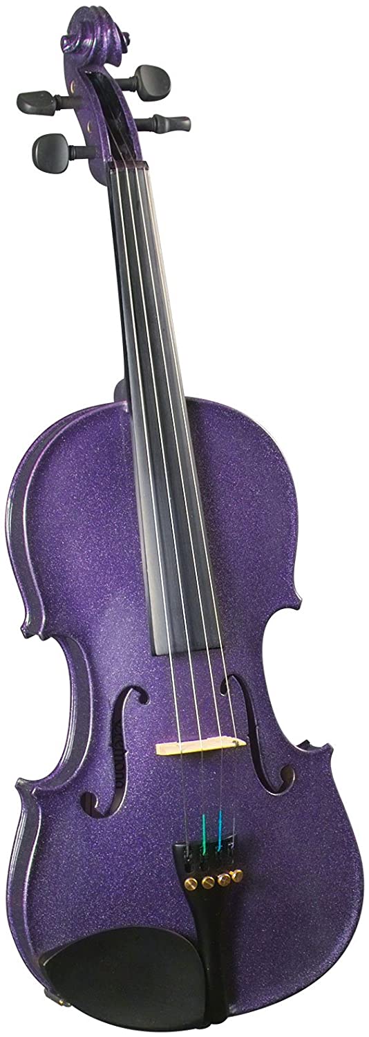 The 10 Best Violins for Beginners - Instruments.guru