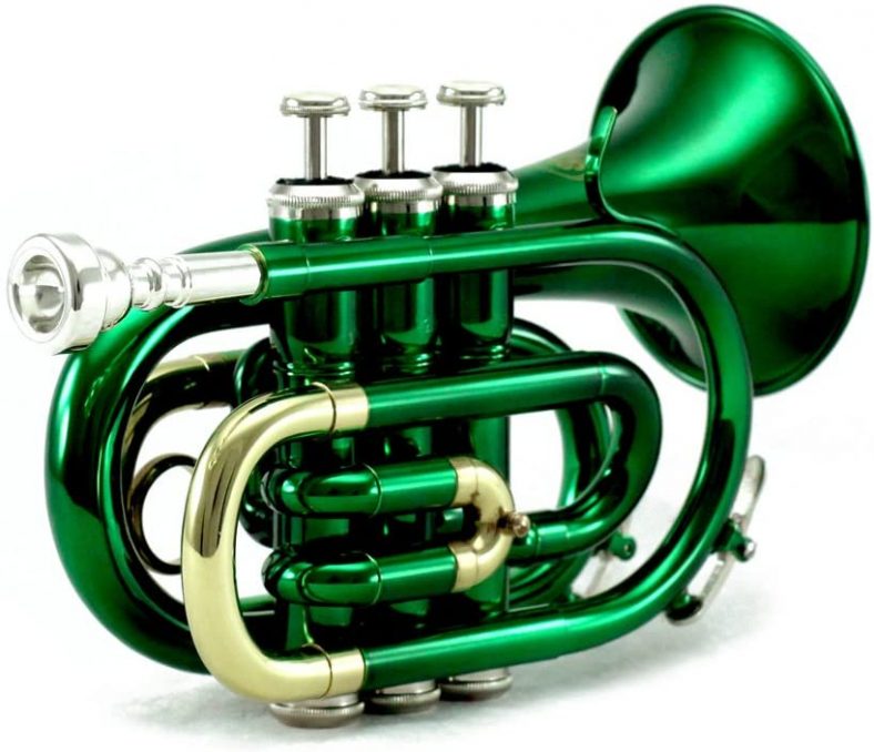 The Best Pocket Trumpets for Beginners - Instruments.guru