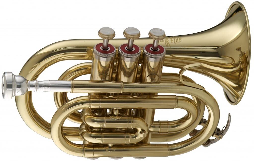 The Best Pocket Trumpets for Beginners - Instruments.guru