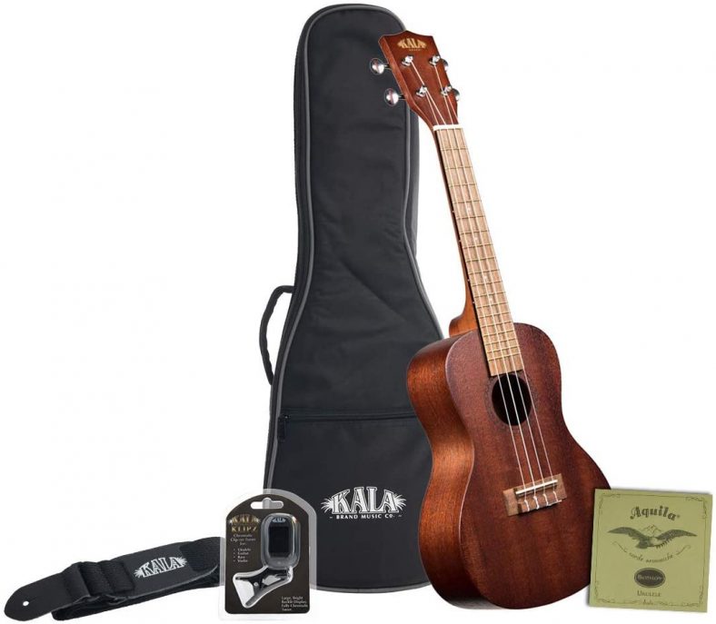 The 10 Best Ukuleles in 2020 - Instruments.guru