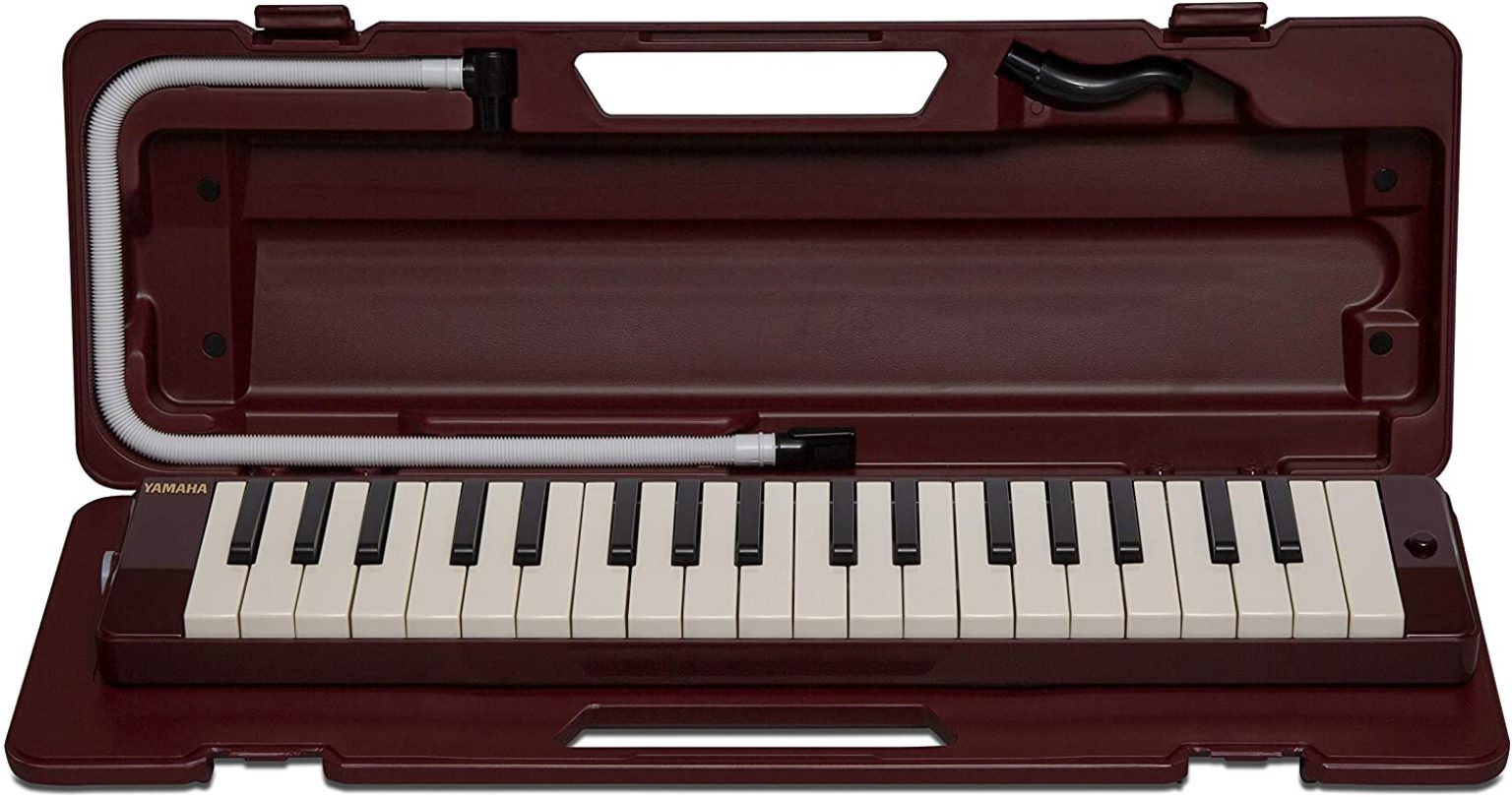 Best Melodica Reviews in 2020 for All Levels - Instruments.guru