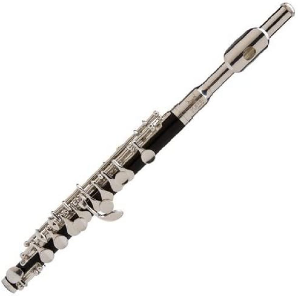 Top Piccolos for Students in 2020 - Instruments.guru